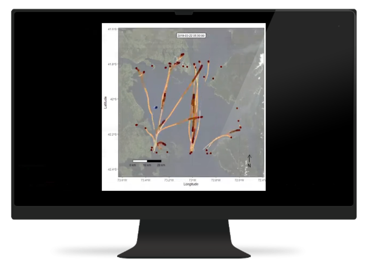 Argos Special Data Processing: Enrich your Data