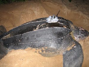 How Argos Works? - Argos