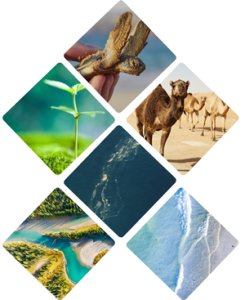 New Generation of Argos Services are on Their Way